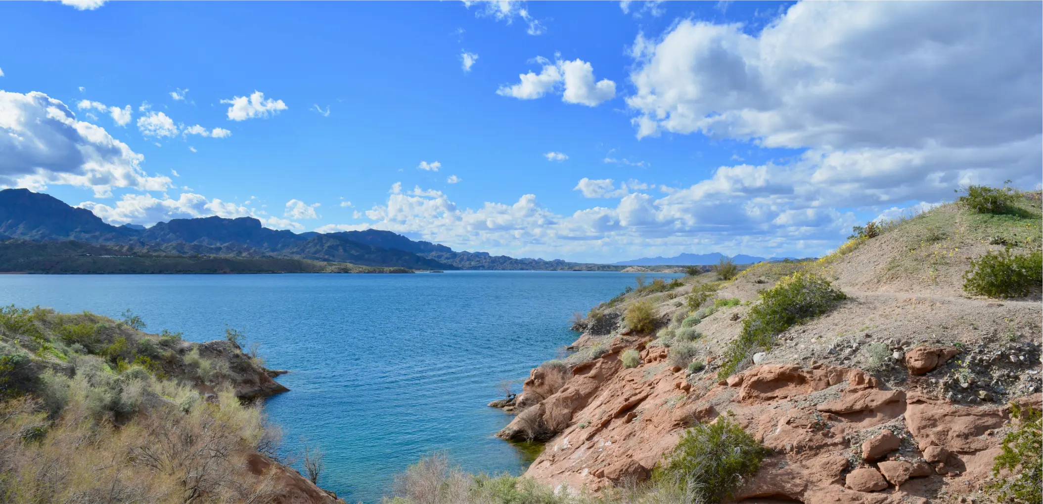 Explore the Best Activities and Attractions Near Lake Havasu in Topock, AZ